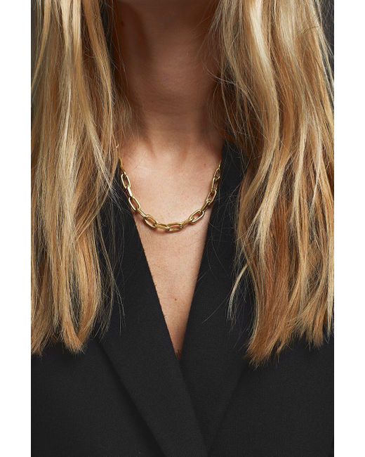 Anine Bing Delicate Chain Necklace - Lyst