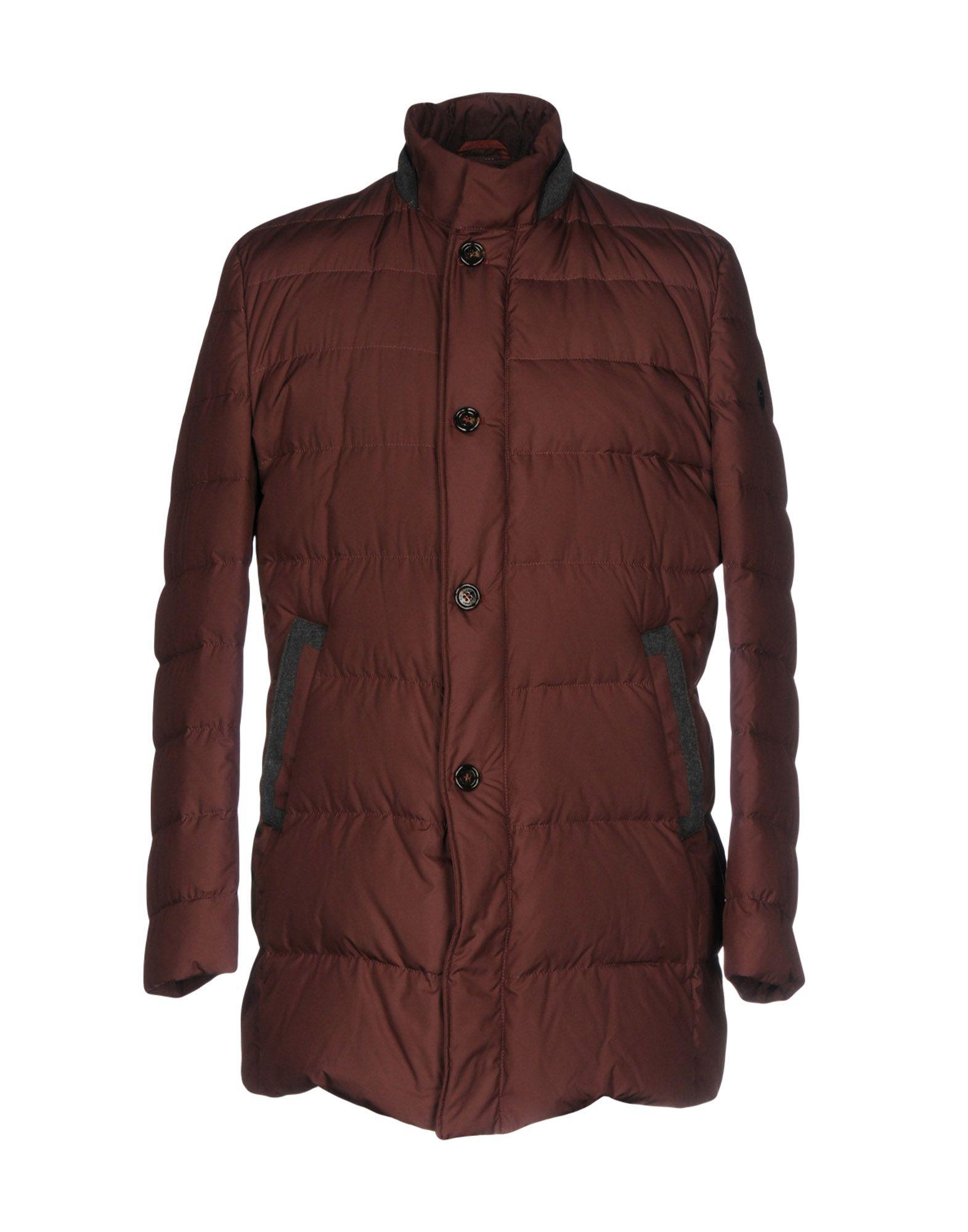 Schneiders Goose Down Jacket in Cocoa (Brown) for Men - Lyst